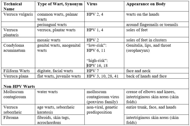 What are Warts & What are the different kinds of Warts? » derma ...